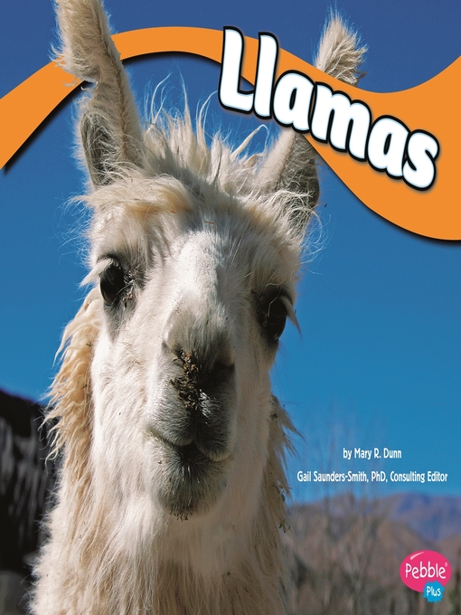 Libby - Llamas